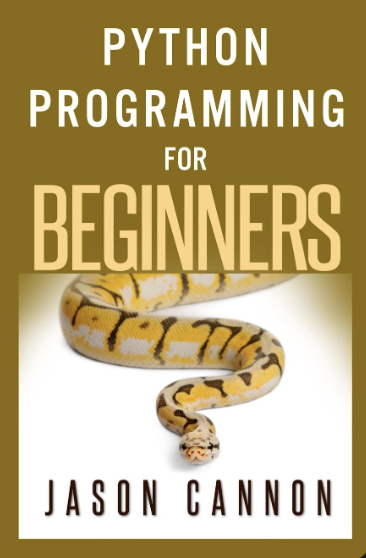Risemee Python Programming for Beginners